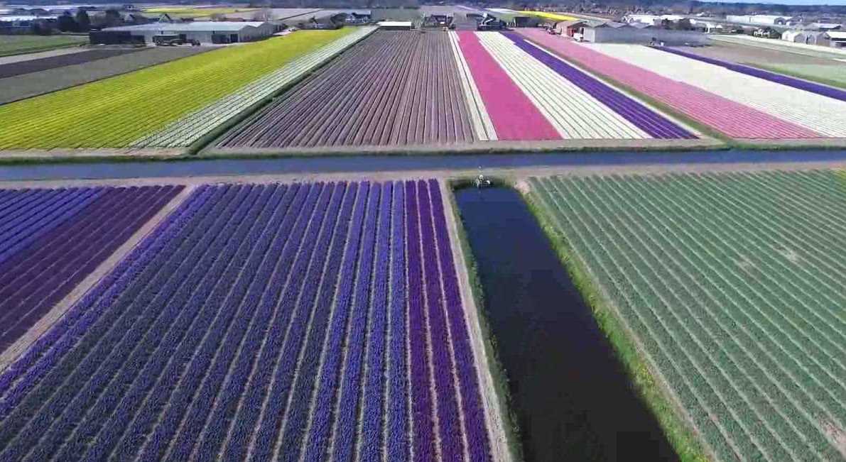 15 Top Drone Photography Tips To Capture Stunning Aerial Photos - DroneZon